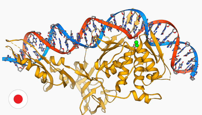 Enzyme replacement therapy authorisation - Remap Consulting