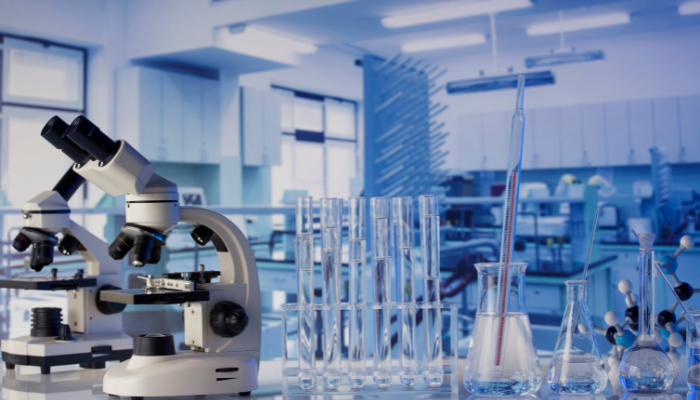 Early payer scientific advice procedures - Remap Consulting