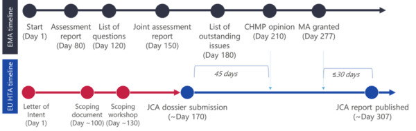 What is the Joint Clinical Assessment? - Remap Consulting